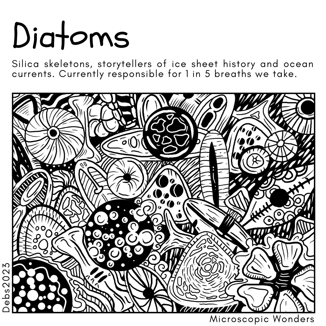 Educate - ANZIC-IODP