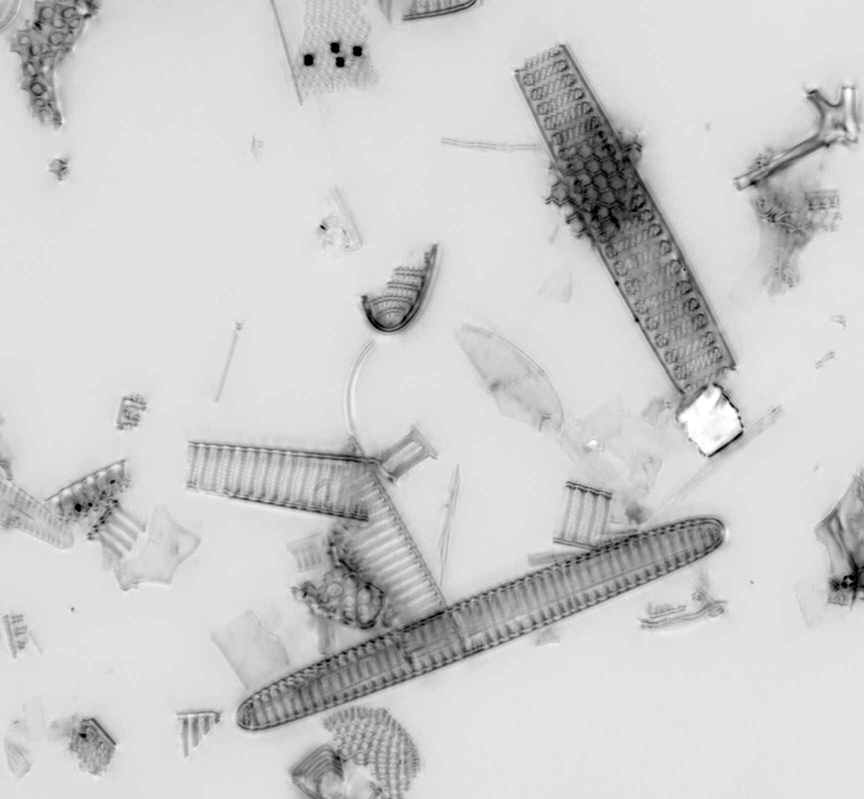 Scientists take AI to Antarctica to examine ancient life - ANZIC-IODP